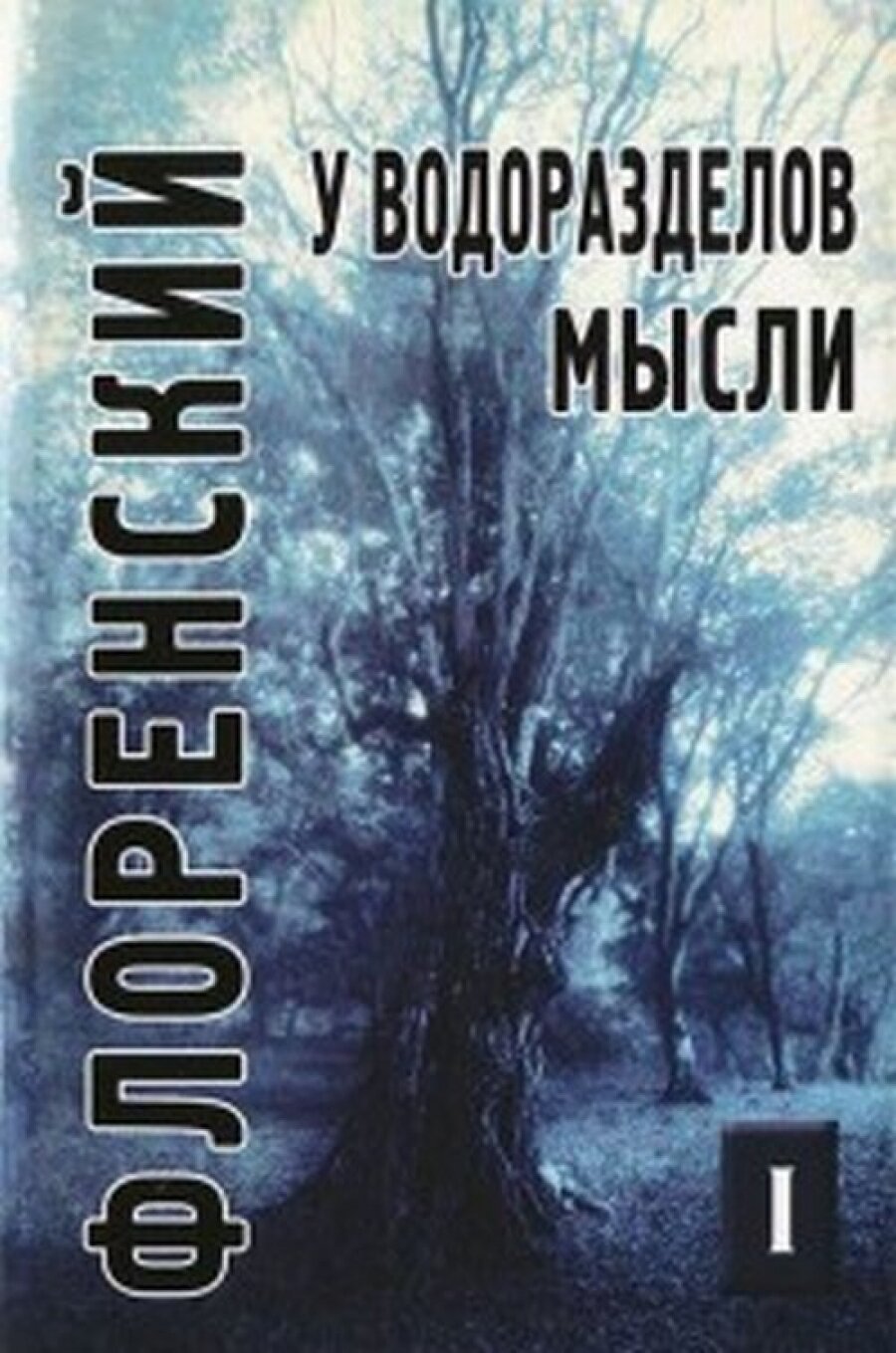 У водоразделов мысли. Том 1