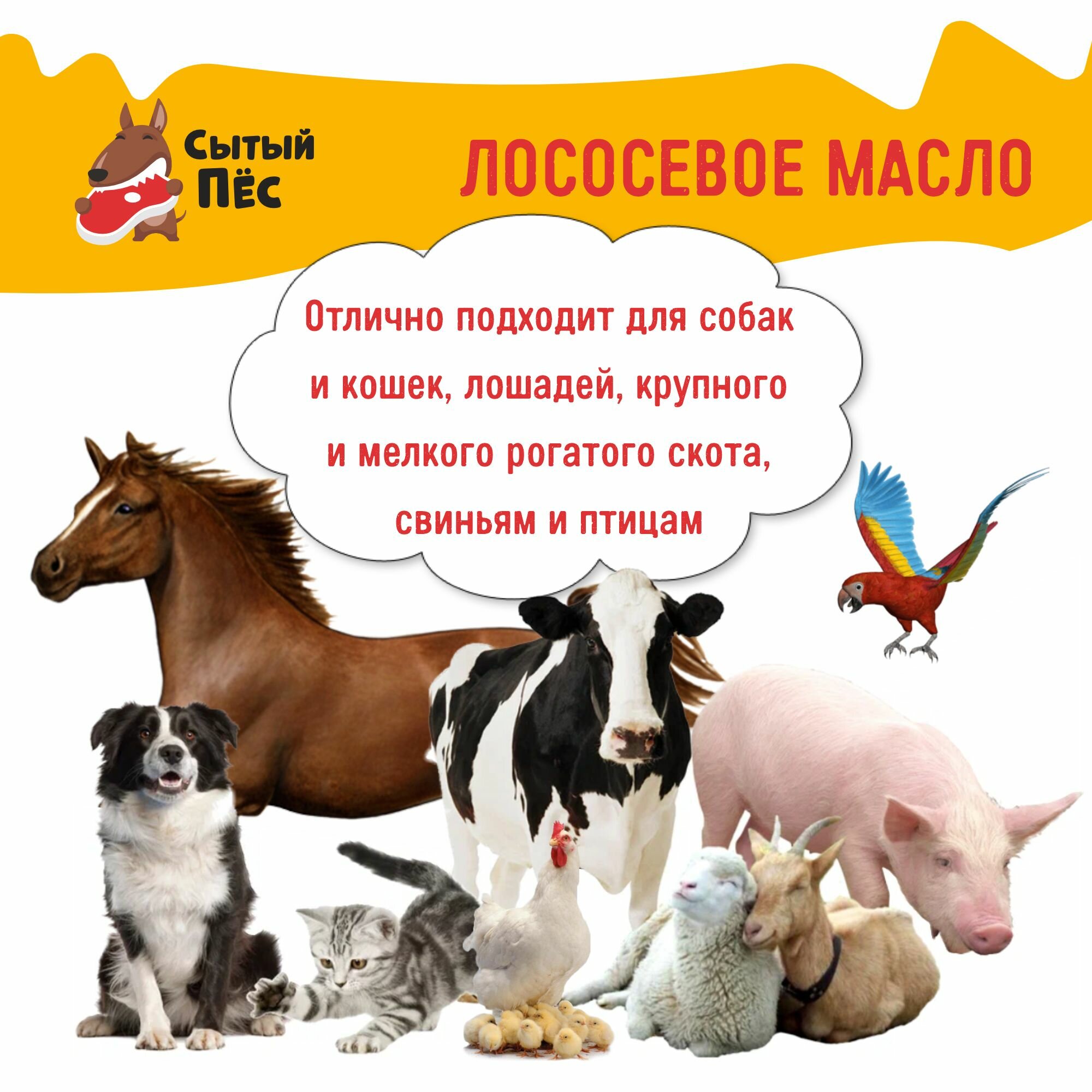 Олонецкий рыбий жир 5 литров - Лососевое масло для животных, собак, кошек, кур несушек, коров — фото 1