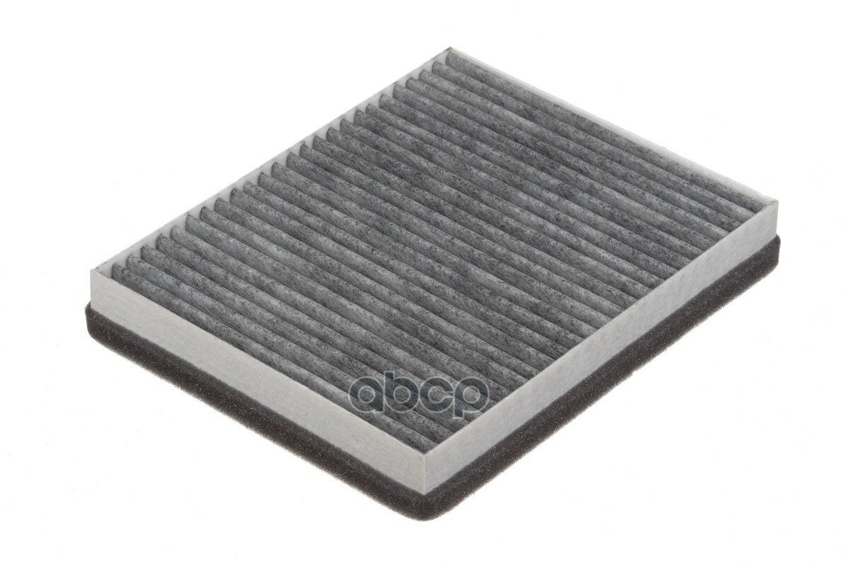 Фильтр воздушный салона CHERY Exceed (20-) угольный RAF FILTER RAF FILTER арт. RSTC040EXD
