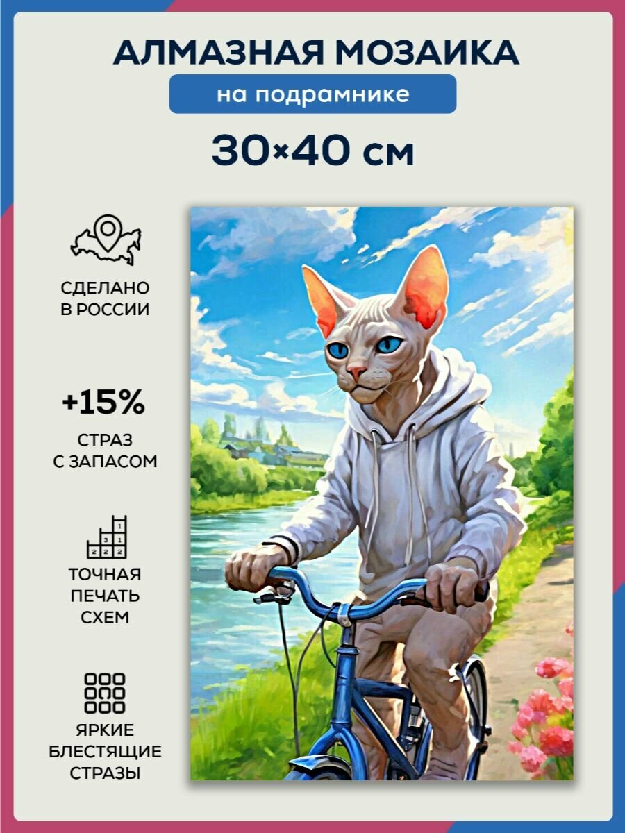 Алмазная мозаика 30x40 Кот на велосипеде на подрамнике
