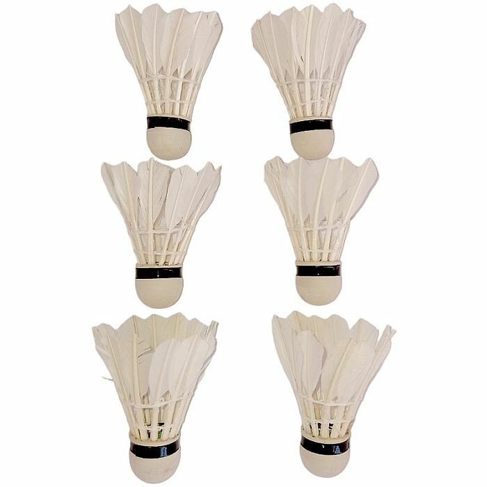 Волан для бадминтона SPORTEX "Replika" в тубе 6 штук (белый)