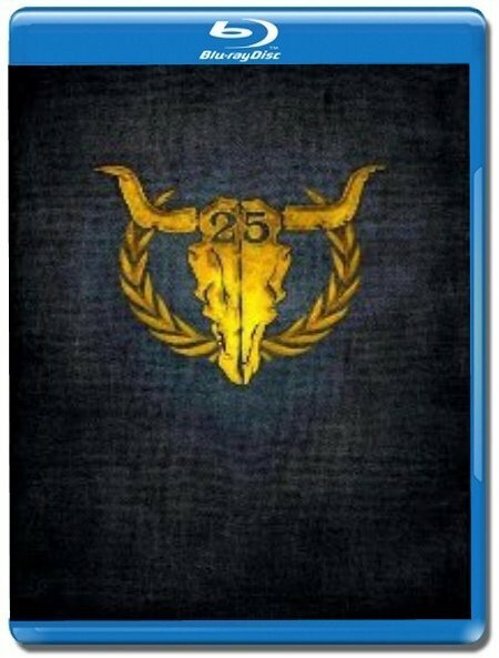 25 Years of Wacken Snapshots Scraps Thoughts and Sounds (3 Blu-ray диска)