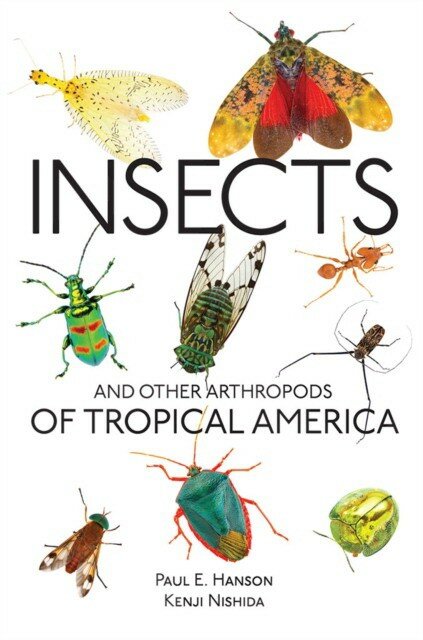 Hanson Paul E. "Insects and Other Arthropods of Tropical America"