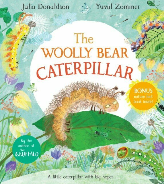 Donaldson Julia "Woolly bear caterpillar"