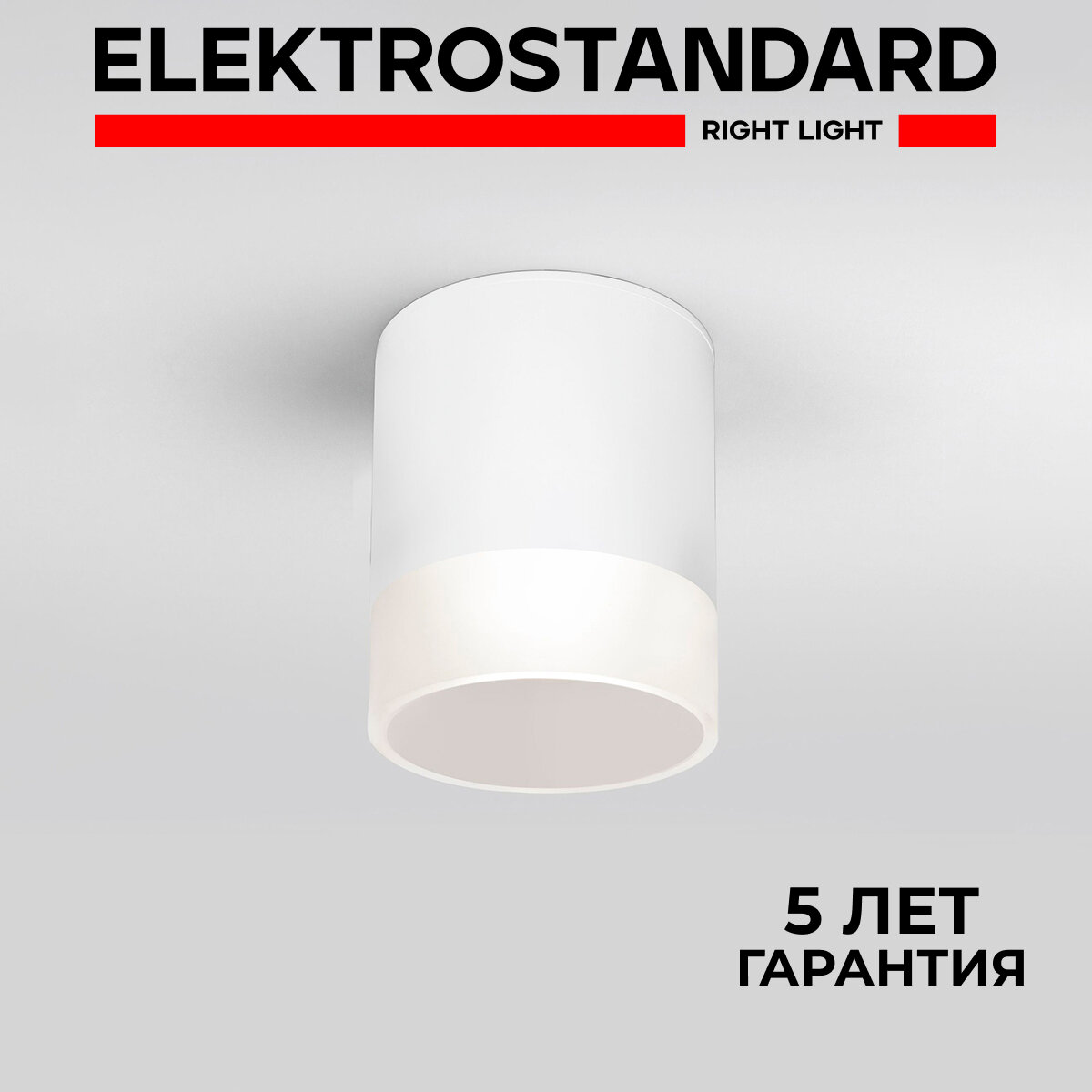 Уличный / Садово-парковый потолочный светодиодный светильник Elektrostandard Light LED 35140/H, 15 Вт/4000K, белый, IP54