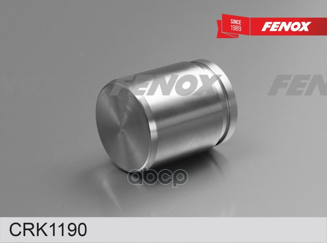 Поршень суппорта NISSAN X-TRAIL / VW PASSAT / SCIROCCO 01- FENOX арт. CRK1190