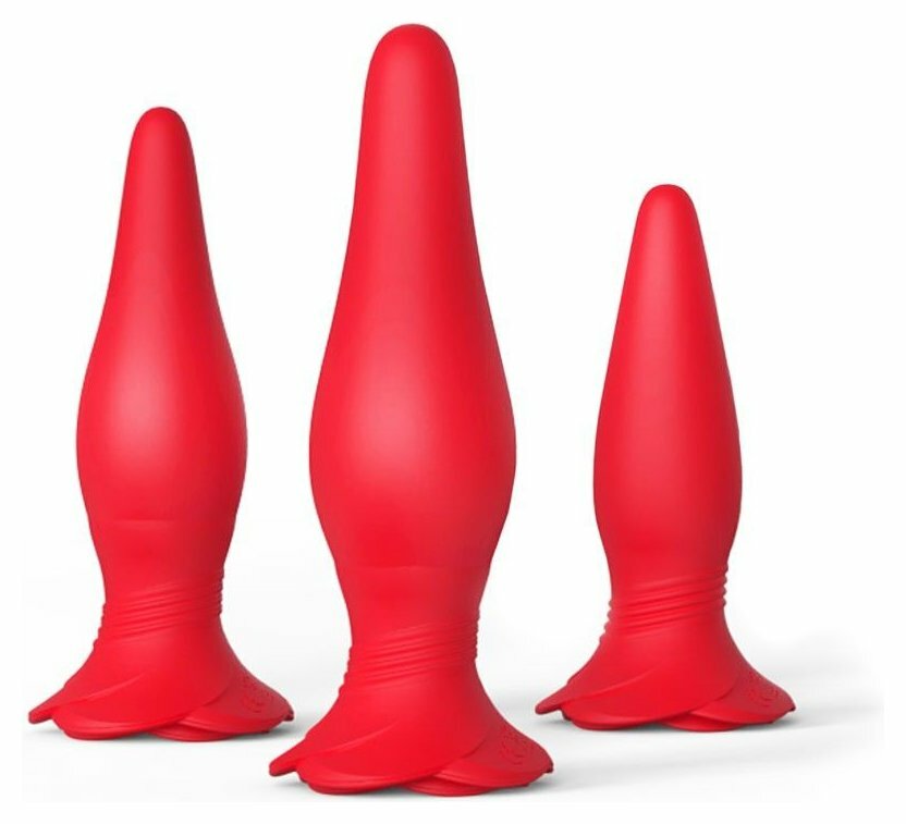Набор Frenzier из 3 анальных пробок и вибропули с пультом ДУ S