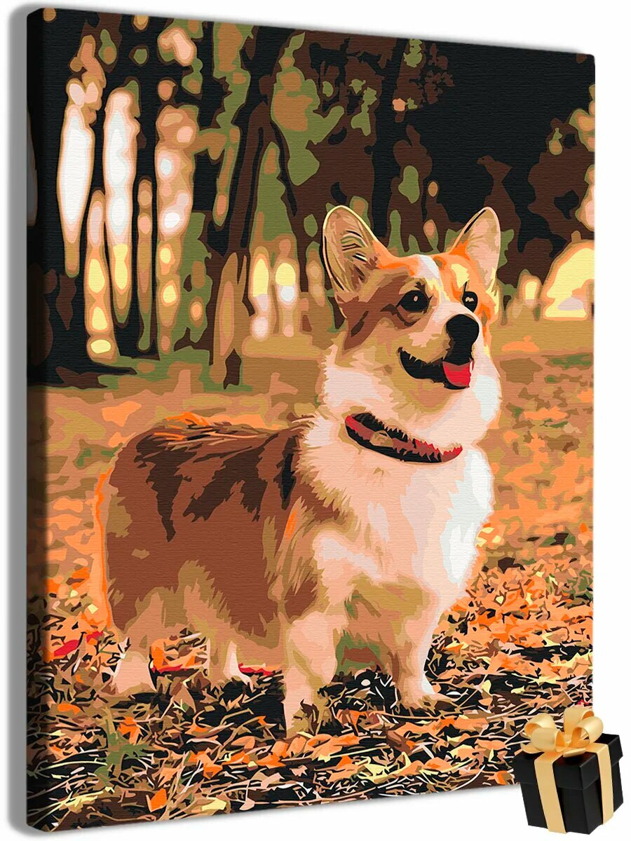 Картины по номерам Корги