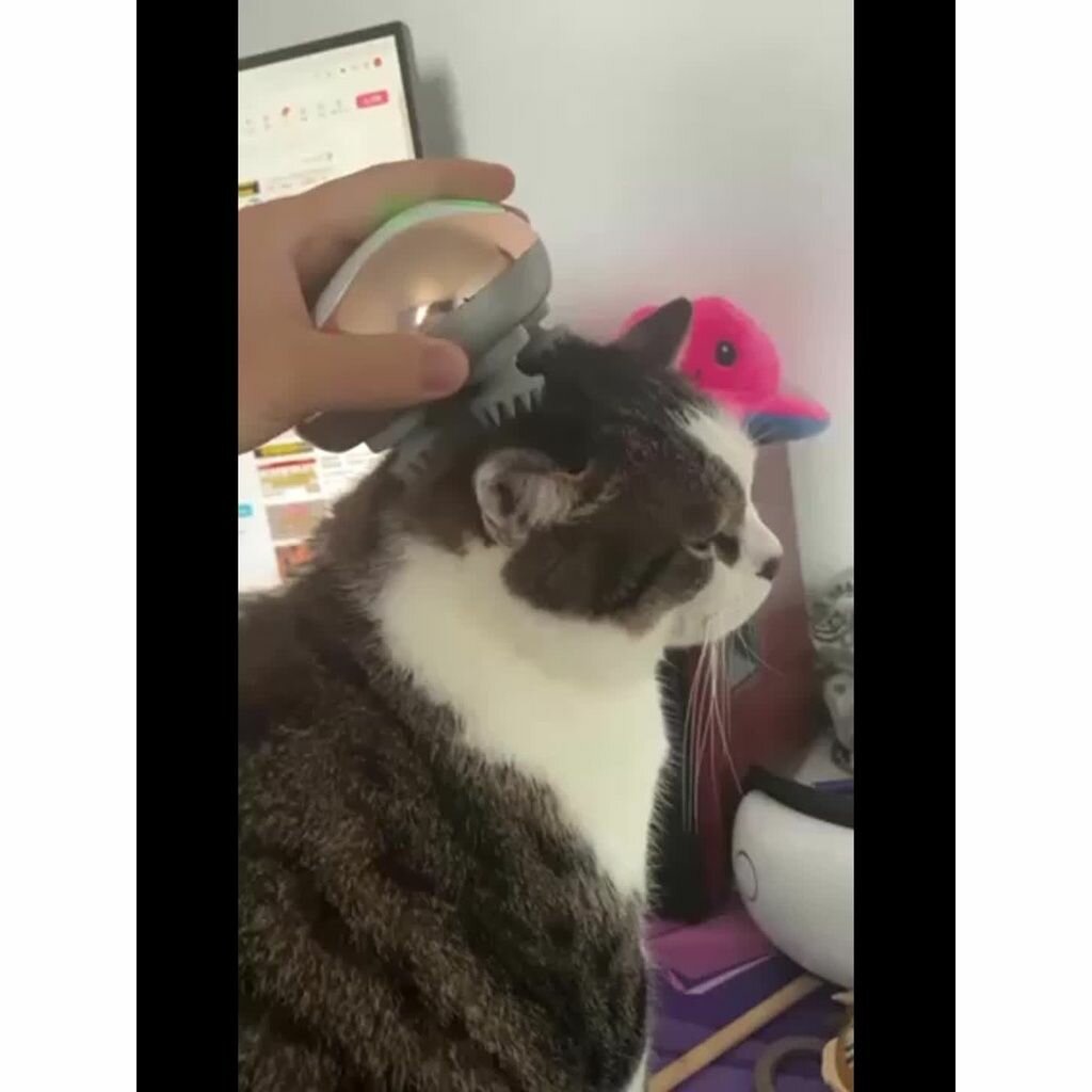 Мягкий электрический массажер для домашних животных Usb-зарядка 3D голова моющаяся игрушка для кошек