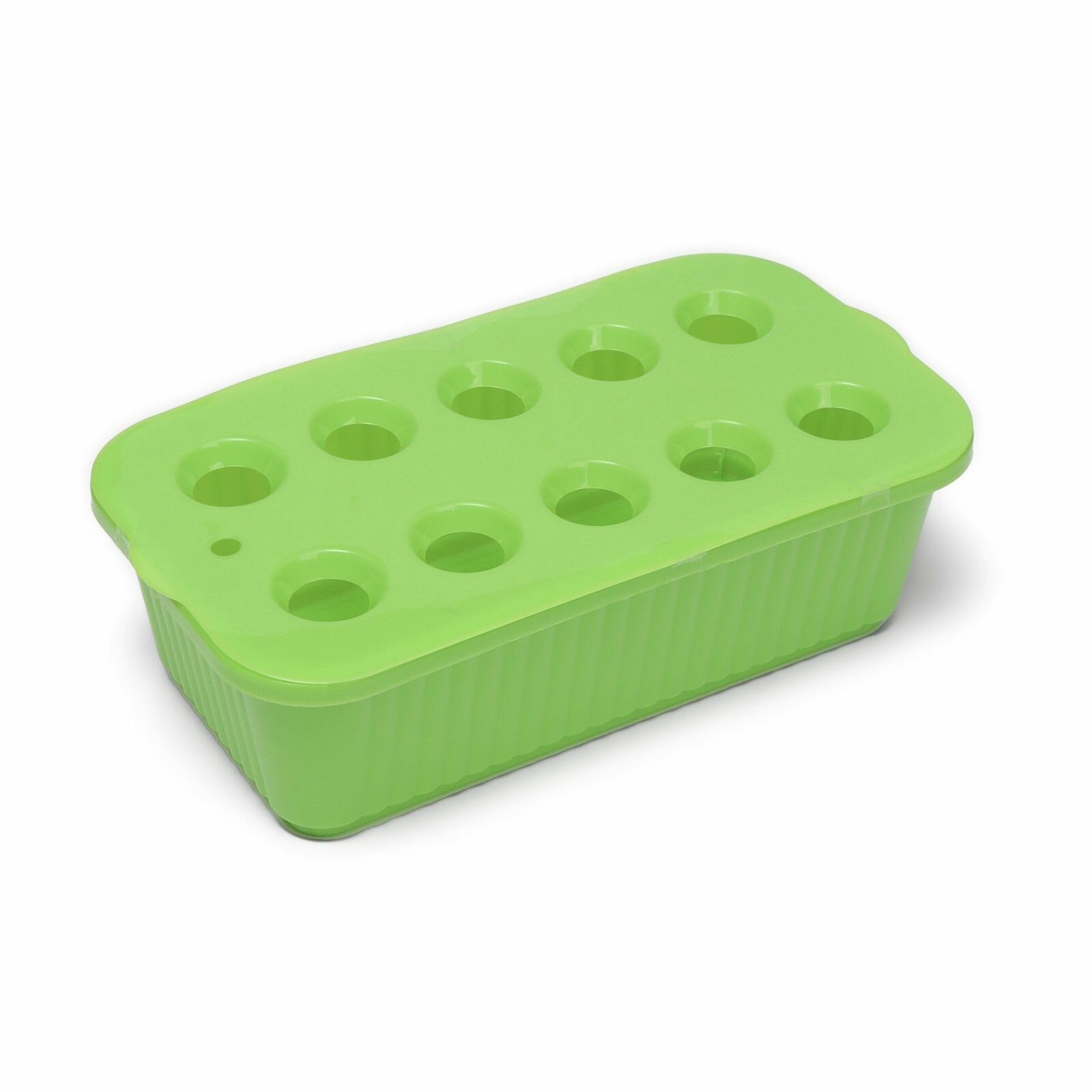 Пластиковый лоток для выращивания зелёного лука с 10 лунками, вмещает 2,5 л. воды, цвет зелёный, 29 х 16 х 8,5 см.