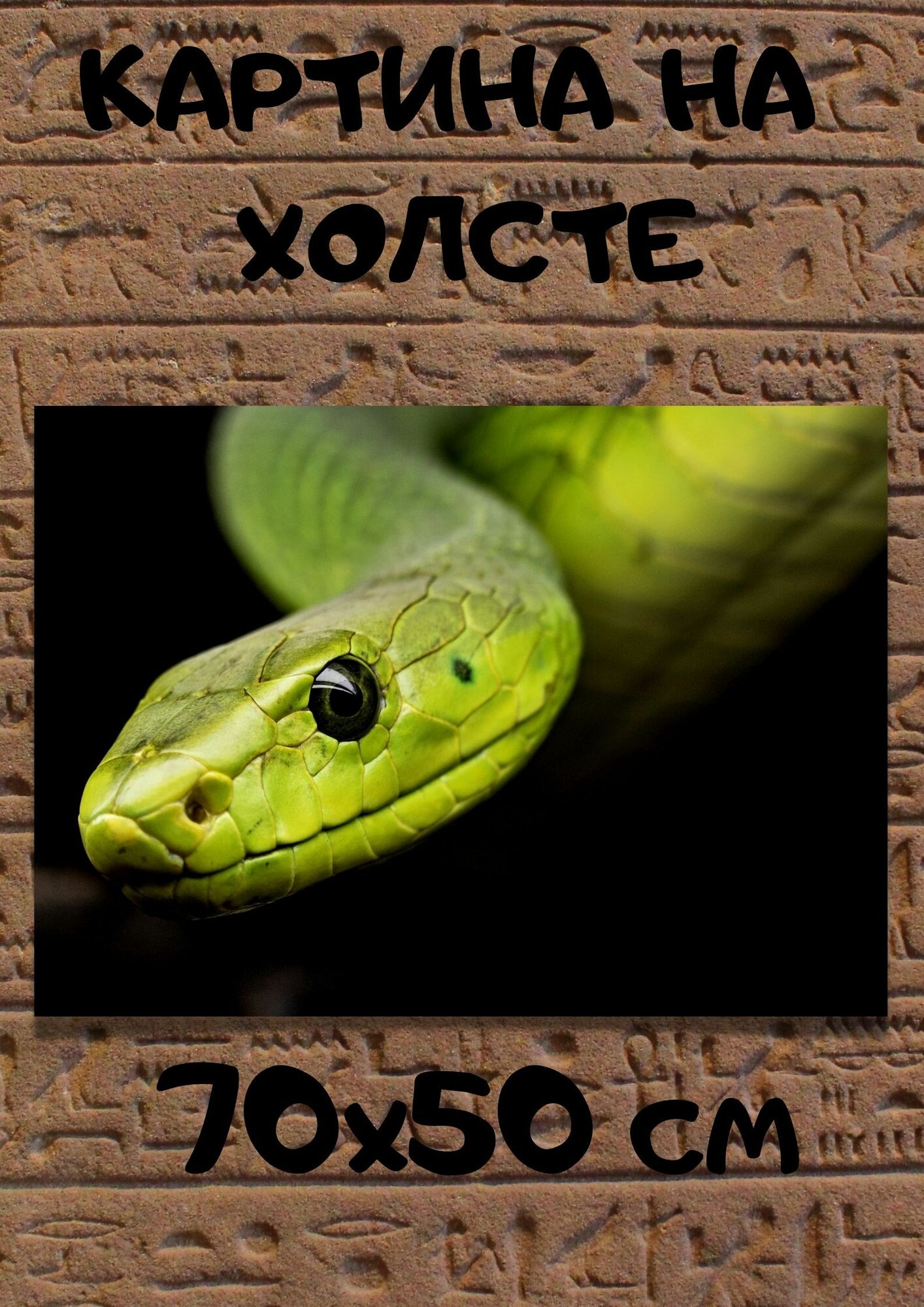 Картина с дикими животными "Зеленая ядовитая змея" 70х50 см