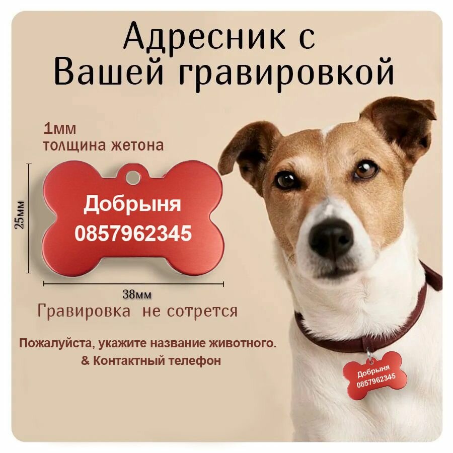 Адресник медальон для животных с адресом адресный жетон для питомцев