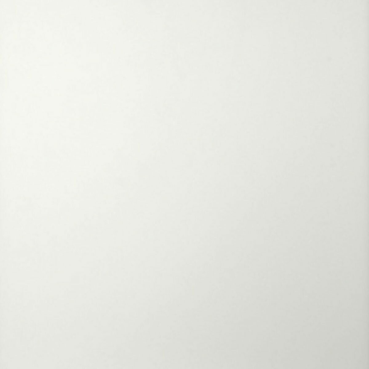 Светодиодная панель без драйвера Армстронг ЭРА 6500К, холодный белый, 595х595х8мм, 40Вт, матовый (Б0048928), 2шт.