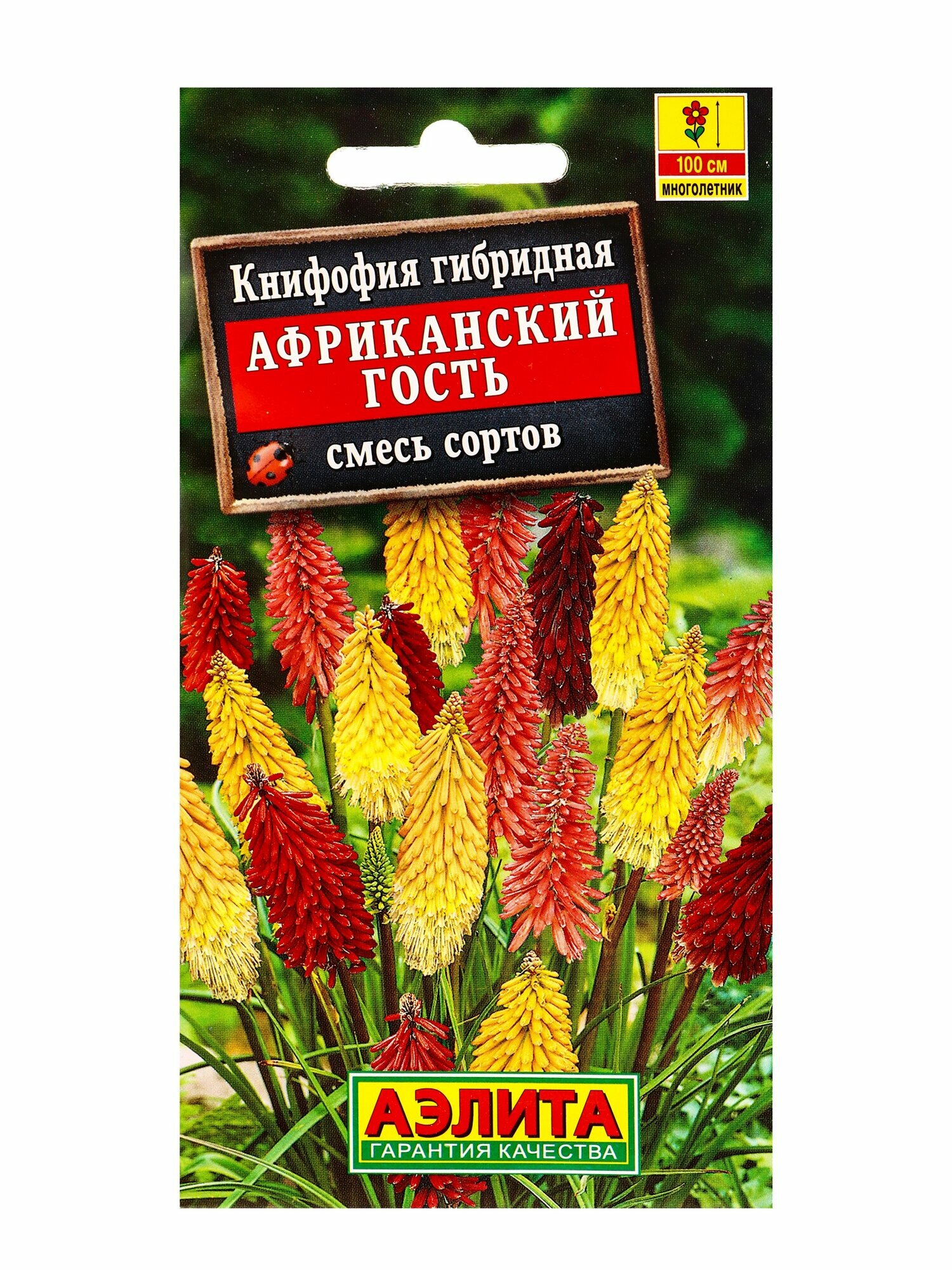 Семена цветов Книфофия «Африканский гость» смесь, 30 шт.