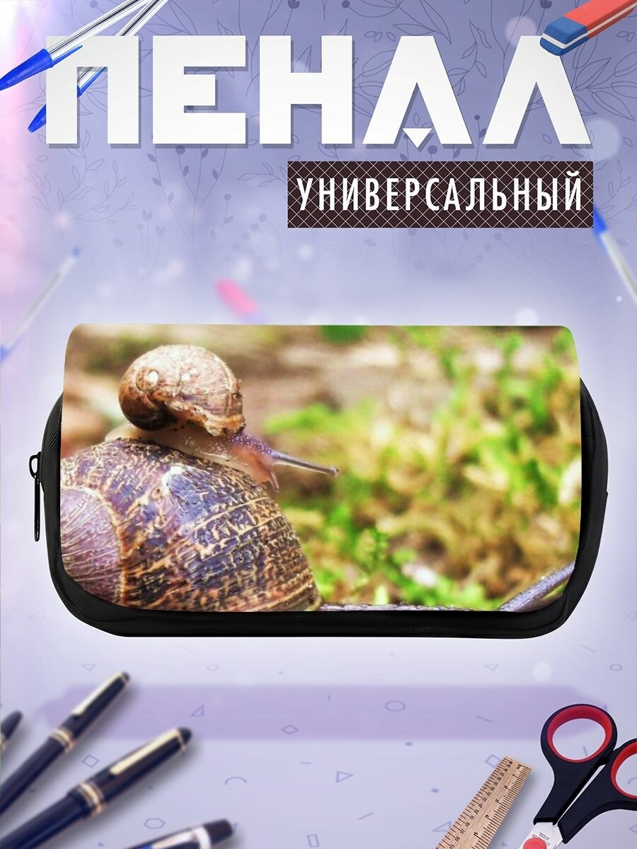 Школьный пенал улитка улитки и слизни