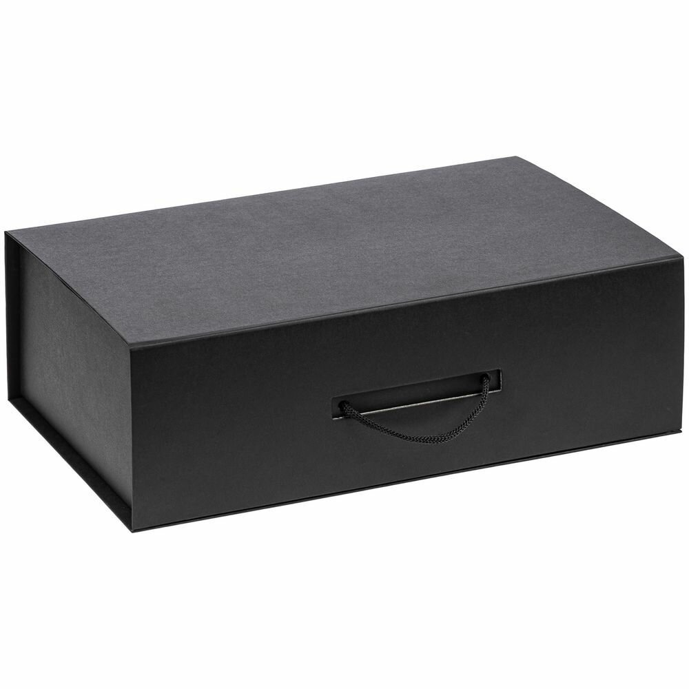 Коробка Big Case, черная, 39х26,3х12,5 см