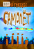 Самолет