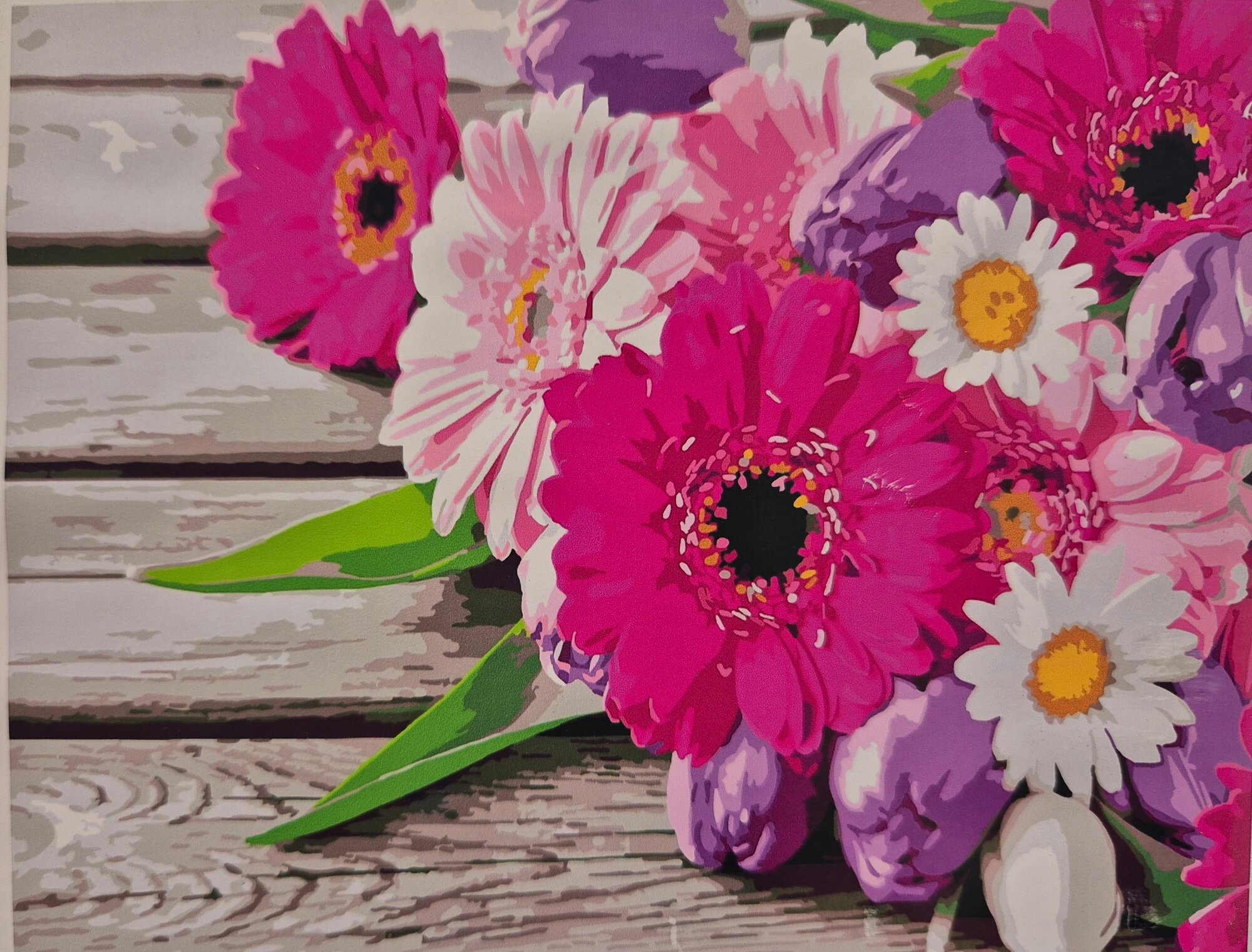 Картина по номерам Paintboy "Прекрасные Герберы"GX3750, холст, 40x50 см