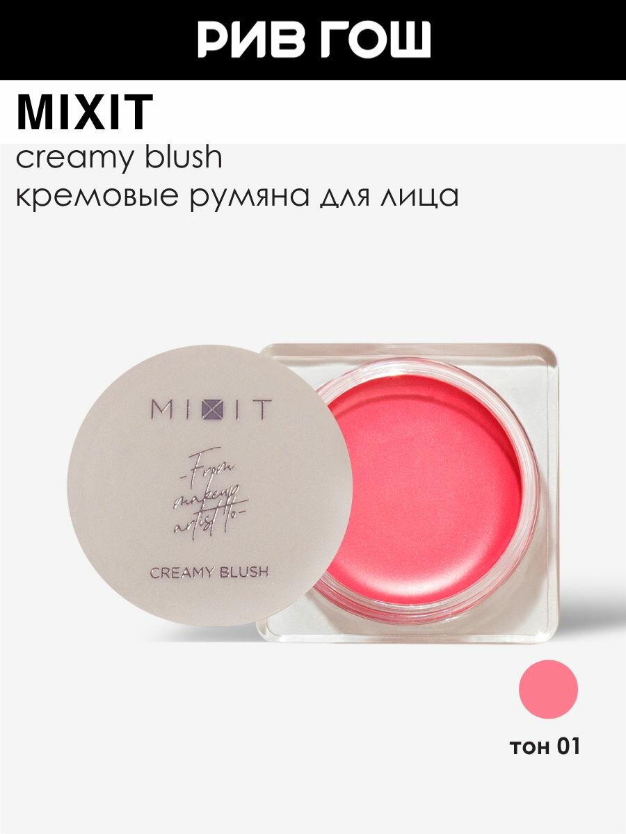 MIXIT Кремовые румяна, 3 г, 01