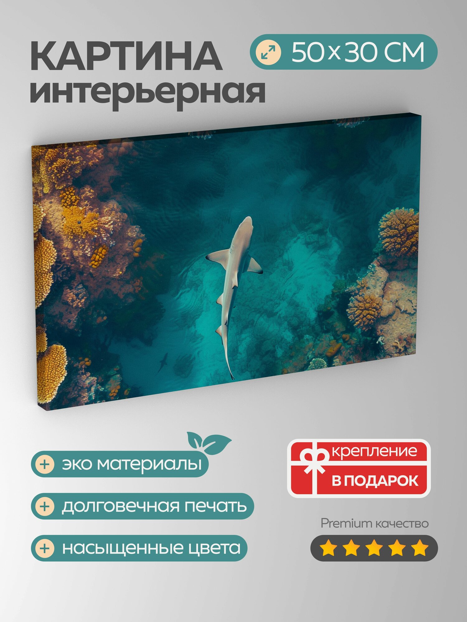 Картина на холсте интерьерная 50х30 см, акула, аэрофотоснимок, коралловый риф, морская флора, морская фауна
