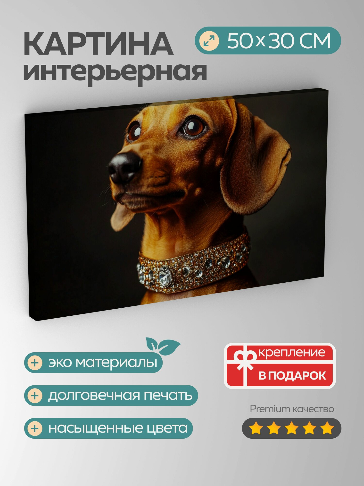 Картина на холсте интерьерная 50х30 см, Такса, ошейник, кристаллы Swarovski, высокое разрешение, студия