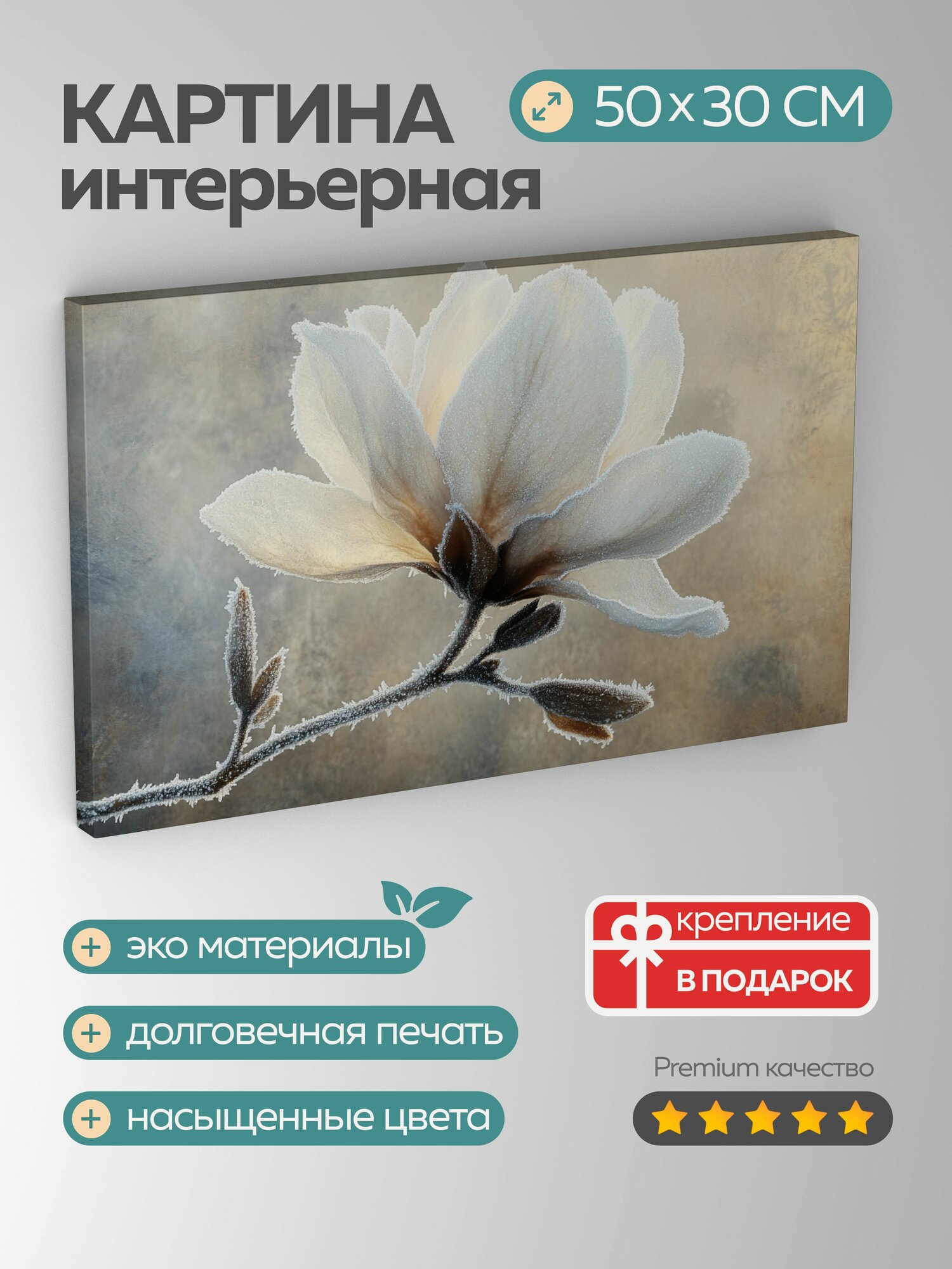 Картина на холсте интерьерная 50х30 см, цветок, иней, зима, красота, природа, сияние, одинокий, фотография, мягкий