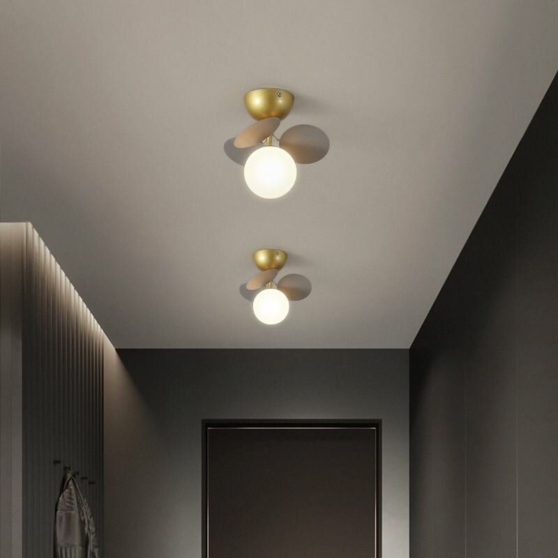 Лепестки потолочные светильники для прихожей крыльца коридора