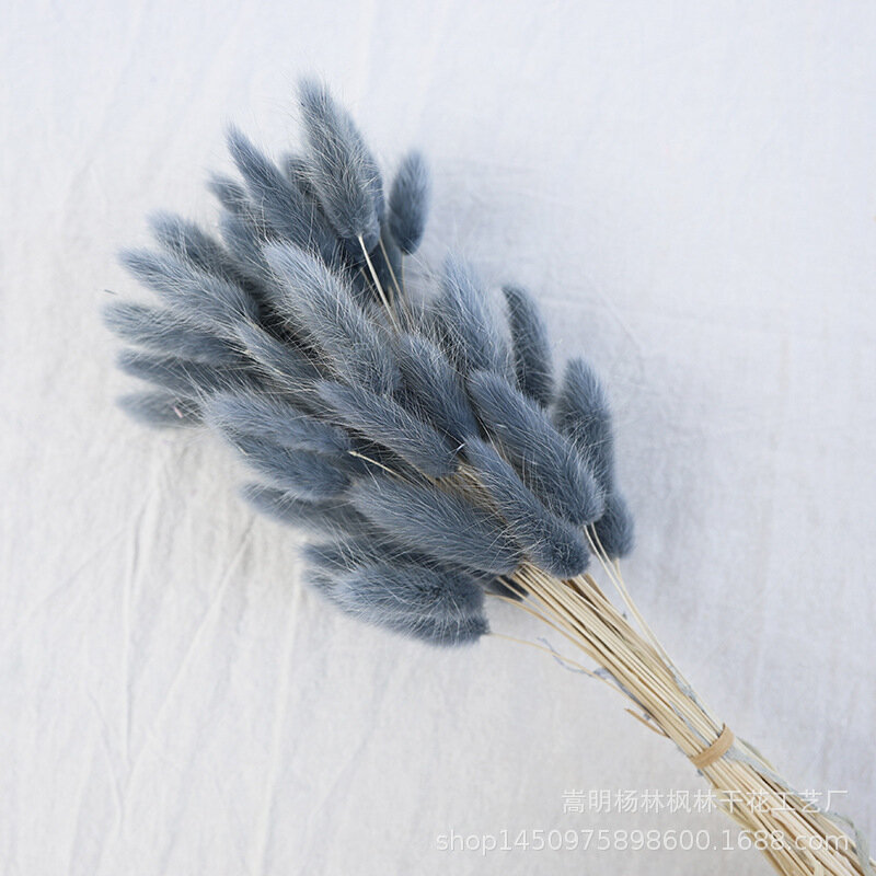 Трава из кроличьего хвоста, серо-голубая, 60 палочек