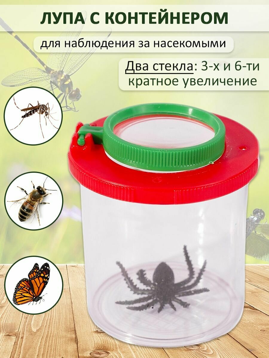 Банка с лупой для насекомых
