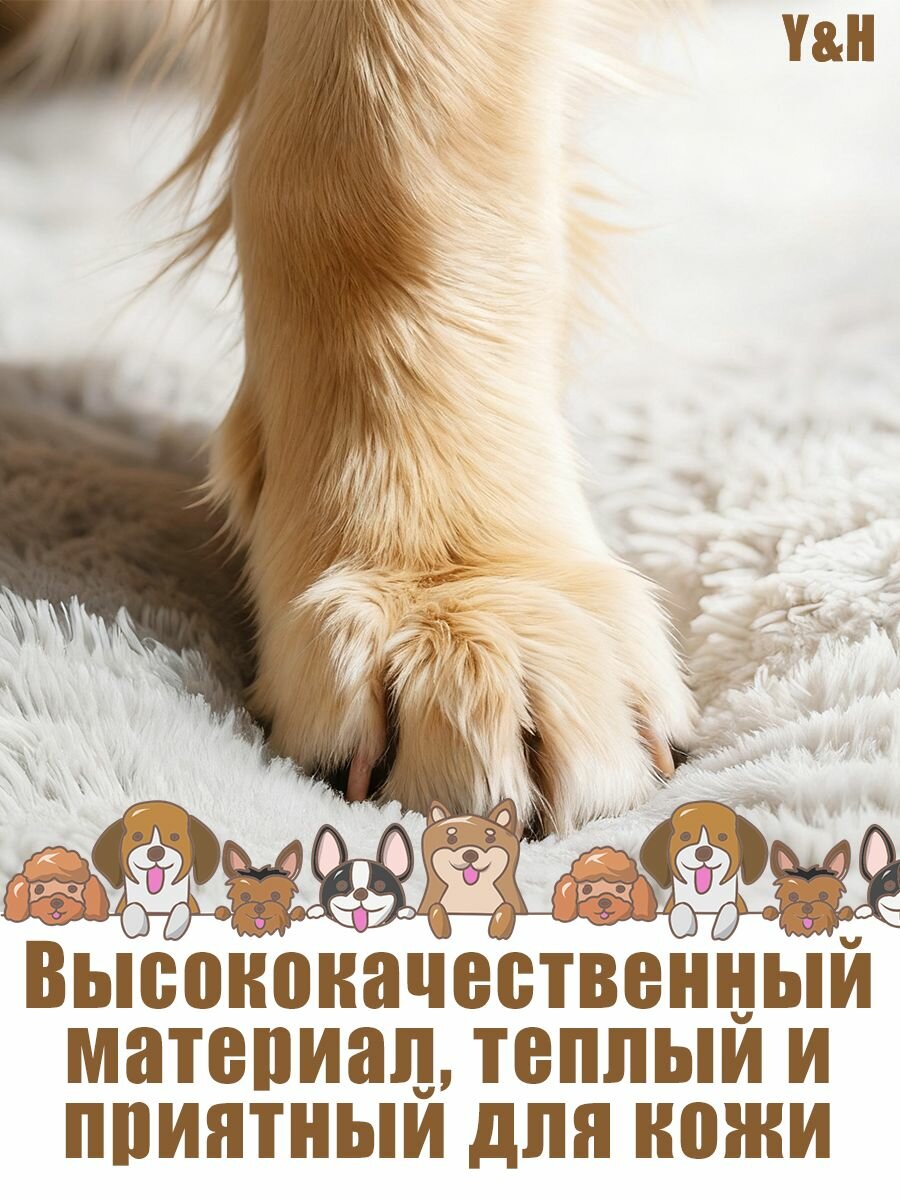 Будка для собак — фото 1