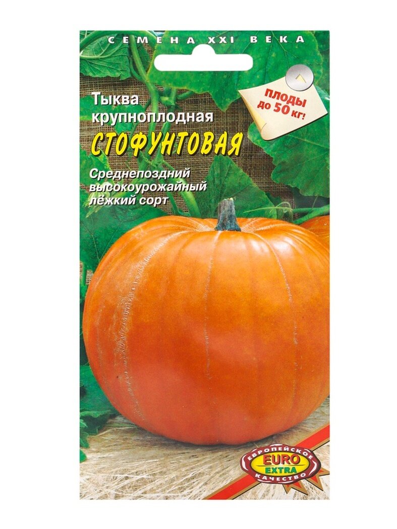 Семена тыквы аэлита "Стофунтовая", среднепоздние, открытый грунт, 2 г