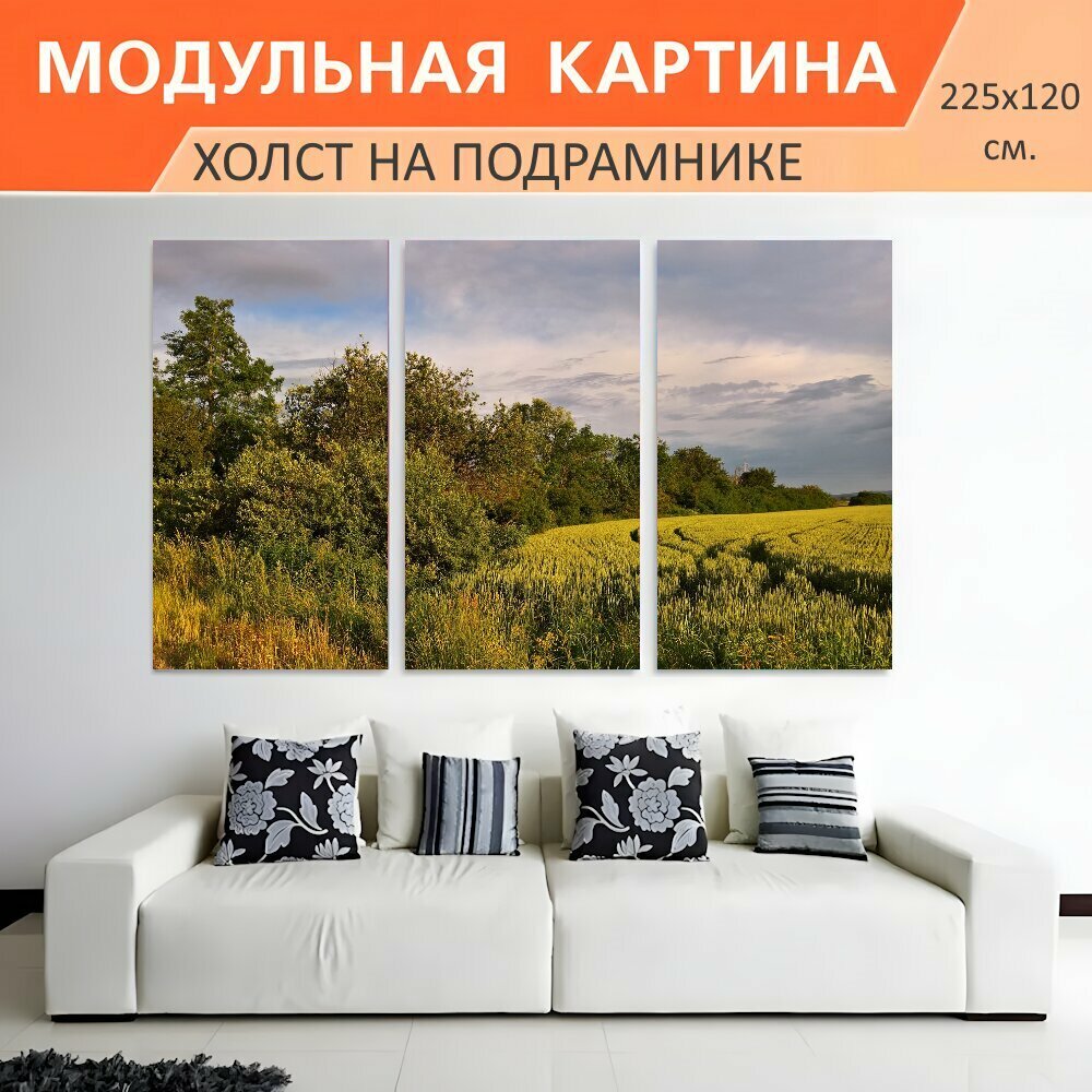 Модульная картина на холсте "Пейзаж, природа, панорамный" триптих на подрамнике 225х120 см. для интерьера