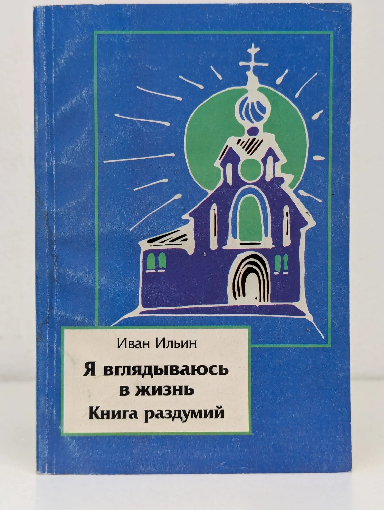 Я вглядываюсь в жизнь. Книга раздумий Ильин Иван Александрович 2000