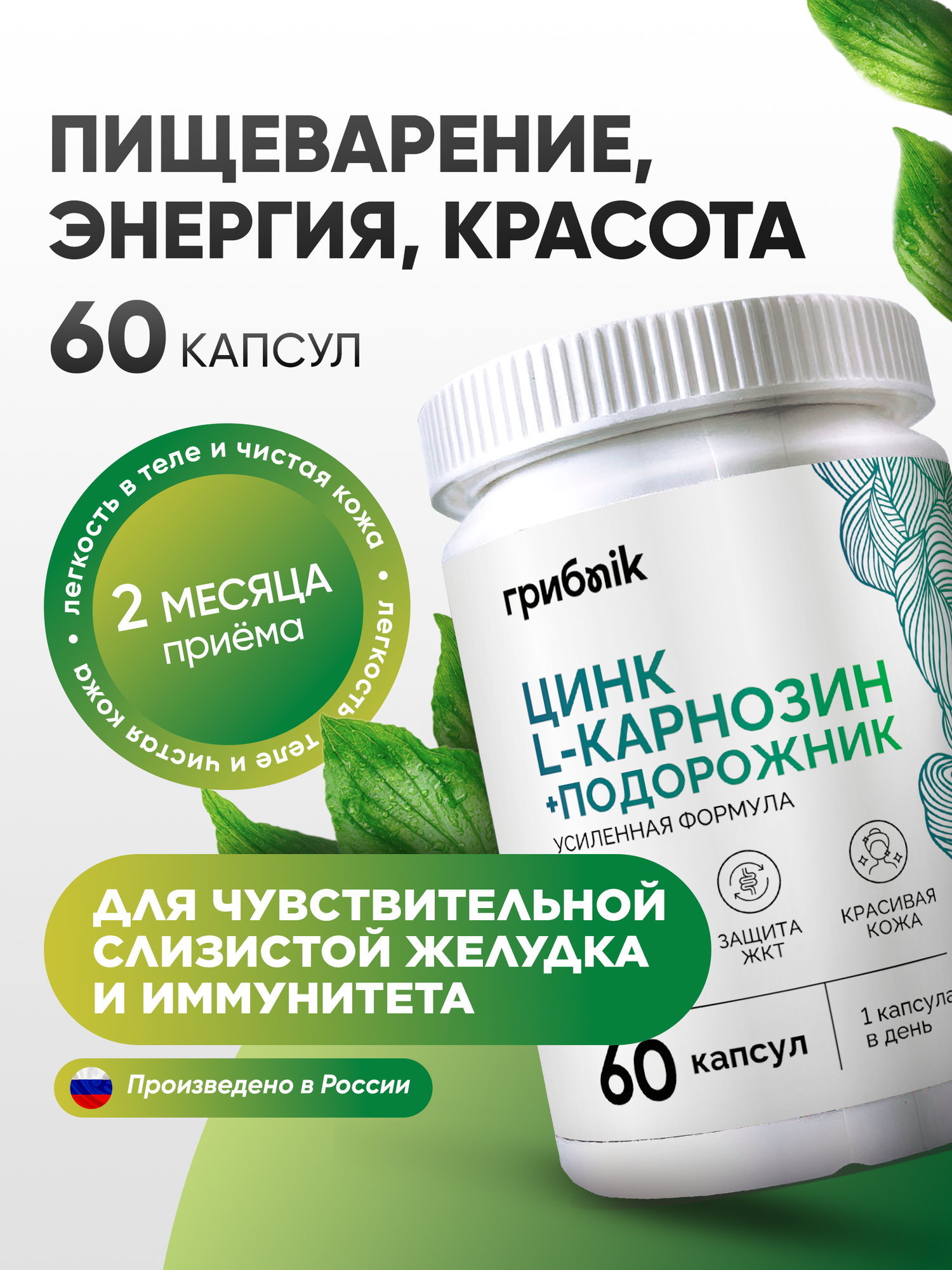 Цинк + Карнозин гастро для желудка и кишечника, от изжоги, гастрита и язвы, 60 капсул, ГрибNik