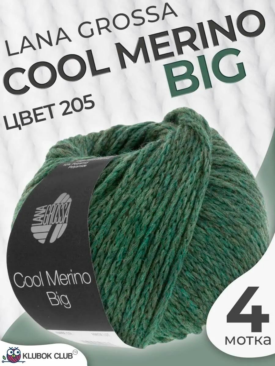 Пряжа для вязания Lana Grossa Cool Merino Big шнурок, цвет 205, 4 мотка