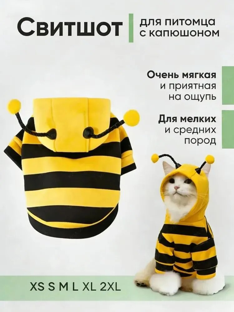 Одежда для животных