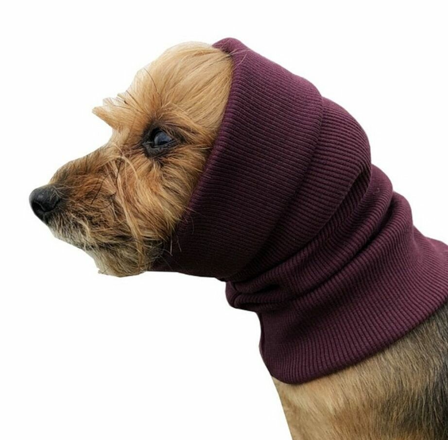 Капор для собак OSSO для собак, трикотажный, размер M, бордовый