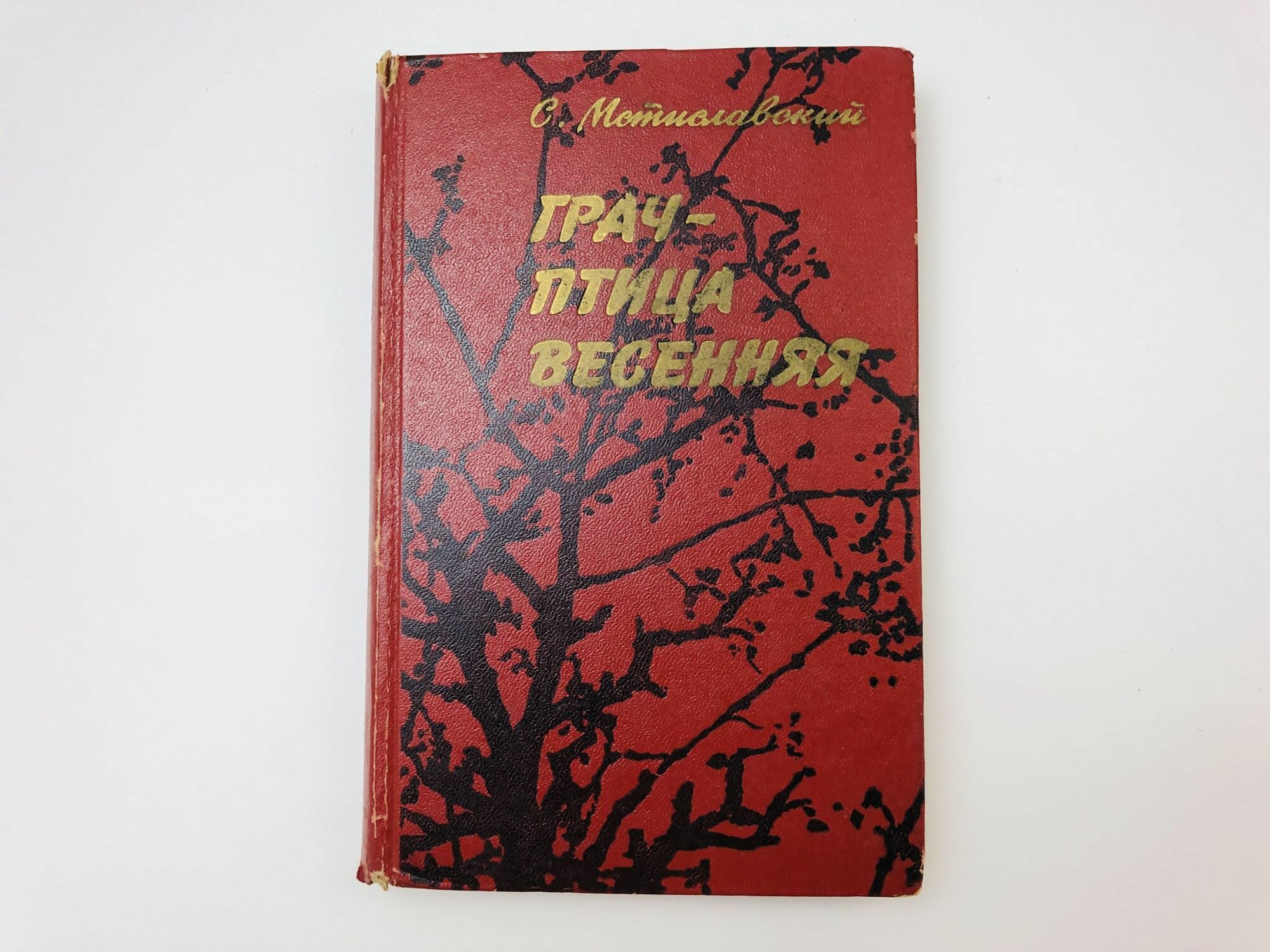 Грач - птица весенняя. Повесть о Н. Э. Баумане