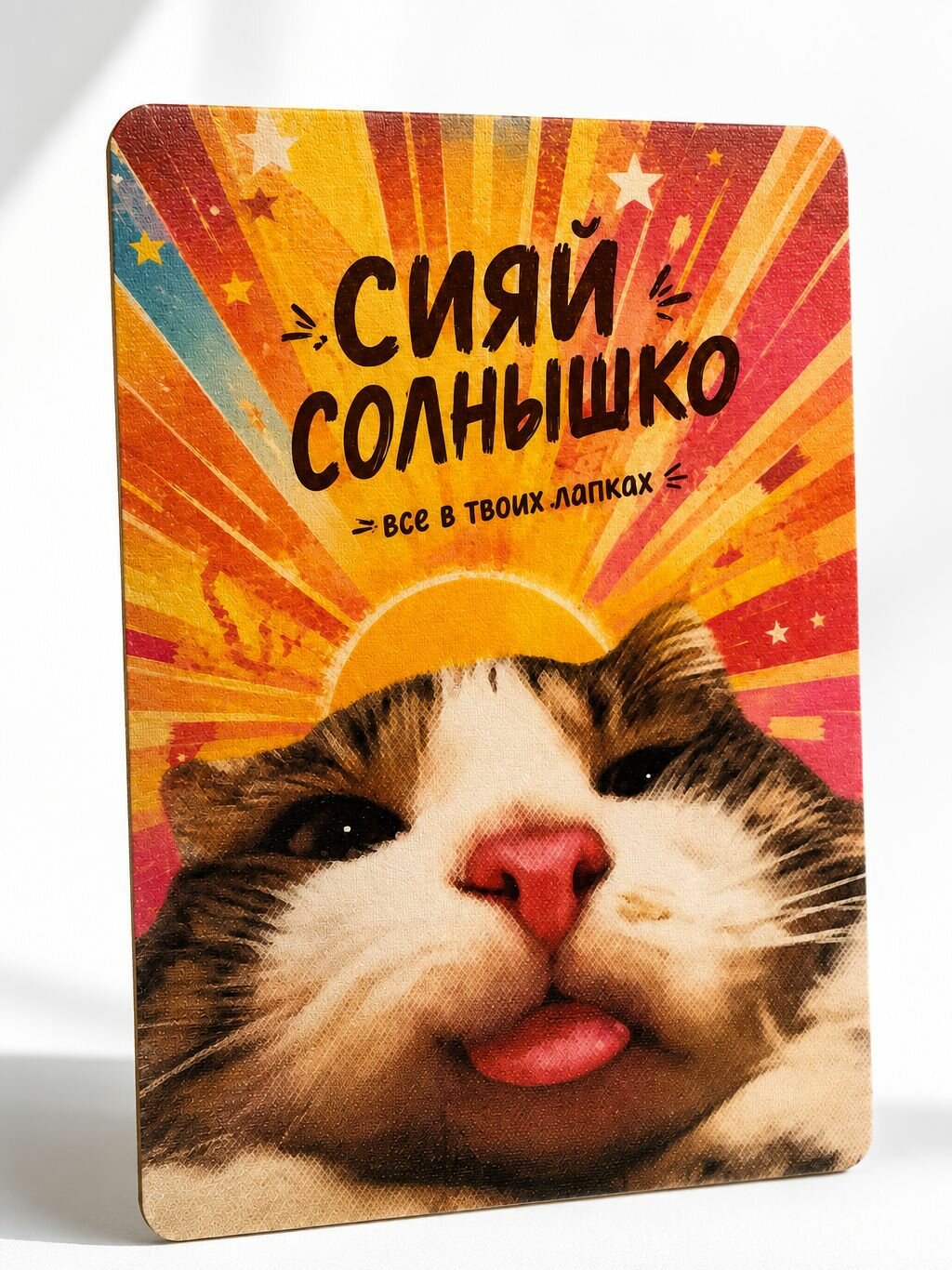 Открытка с котиком , поздравительная с конвертом