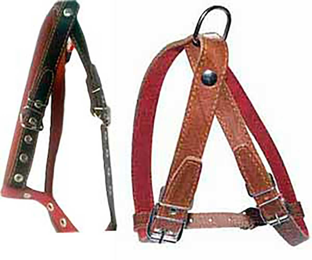 Шлейка для собак brava 50-63см*70-80см универсальная средняя арт411