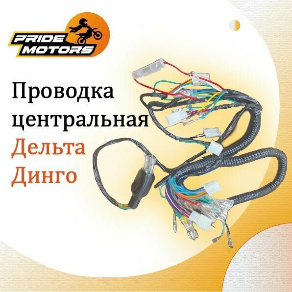 Проводка для мопеда центральная Delta Дельта Динго