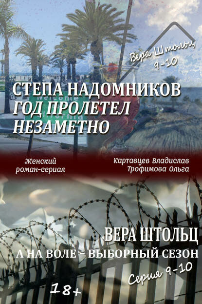 Степа Надомников. Жизнь на чужбине. Год пролетел незаметно. Вера Штольц. А на воле – выборный сезон. Серия 9–10 (сборник) [Цифровая книга]