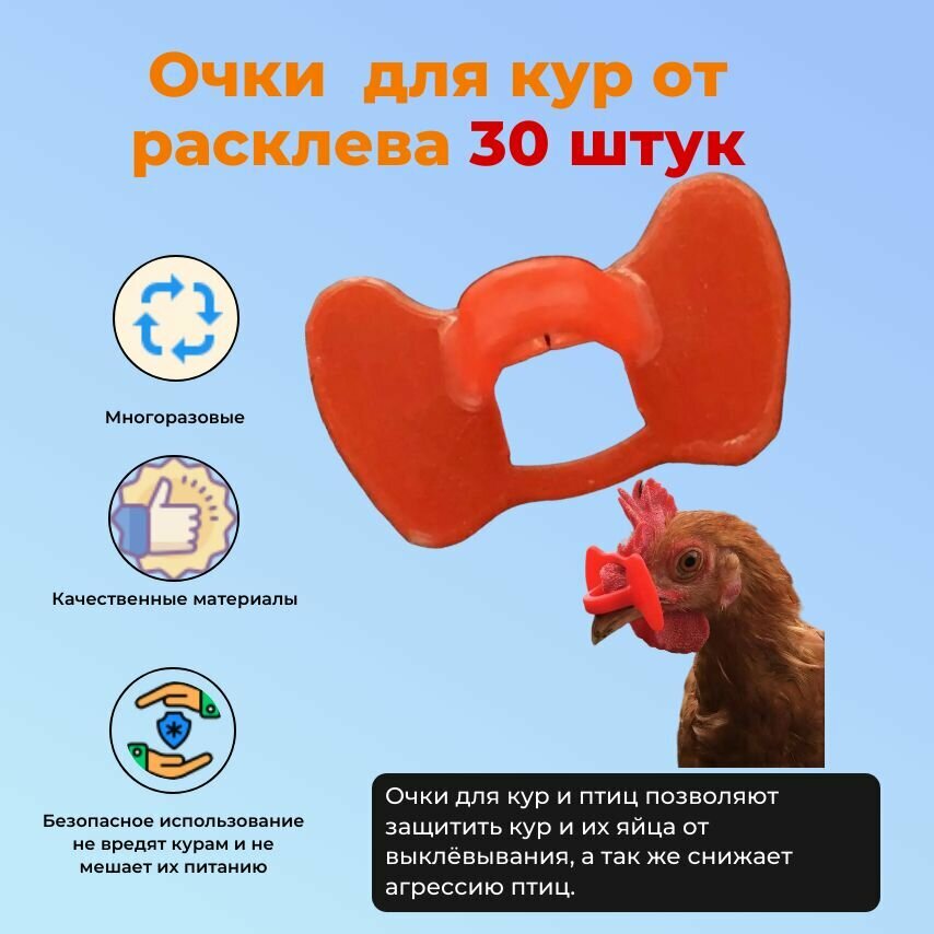 Очки без шпильки от расклева для кур и птиц 30 штук