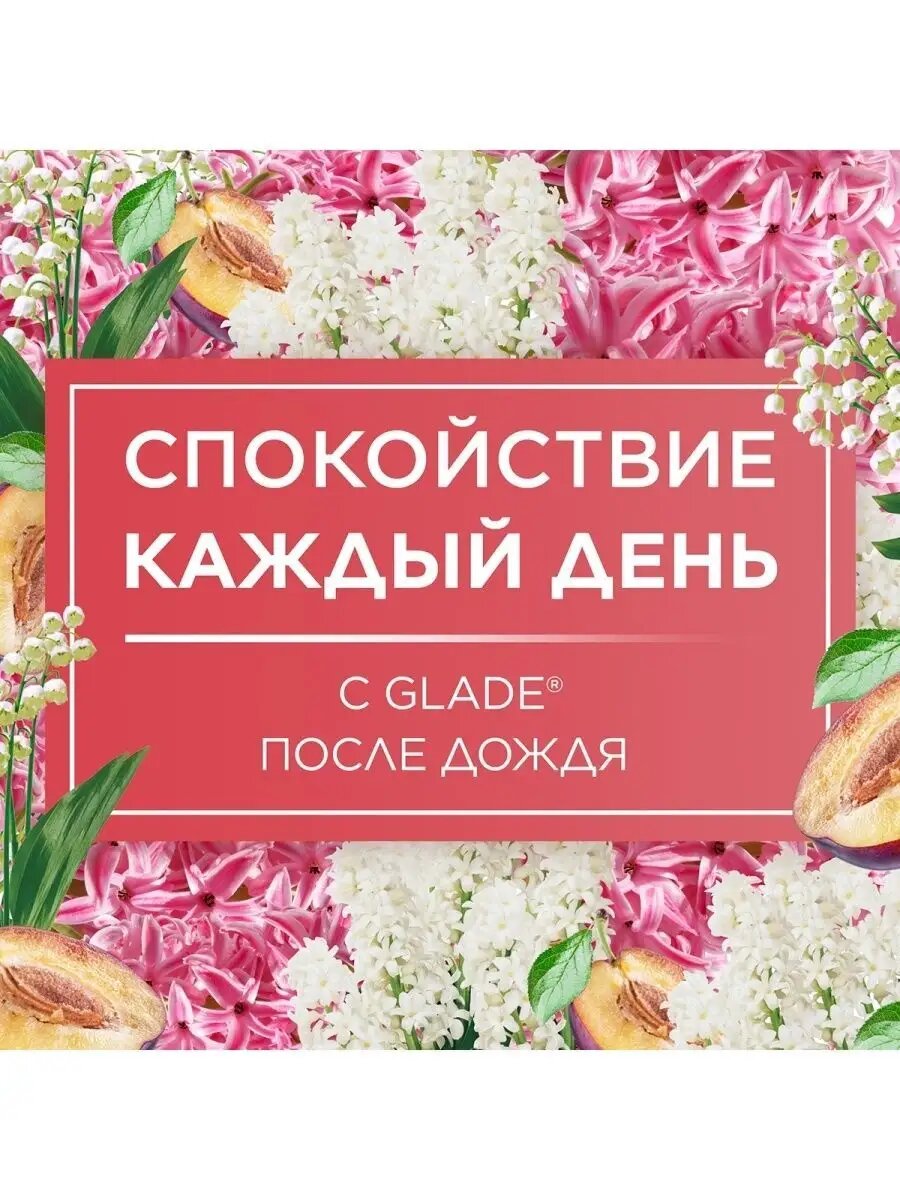 Освежитель воздуха После дождя 300 мл. — фото 1