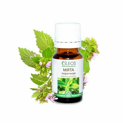 Масло Мяты перечной эфирное 10 мл