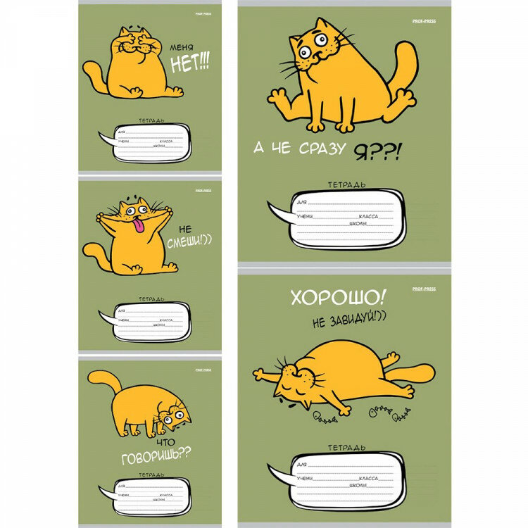 Тетрадь 24 листа линия (Prof-Press) Забавный кот цветная мелованная обложка ассорти арт.24-5799. Количество в наборе 25 шт.