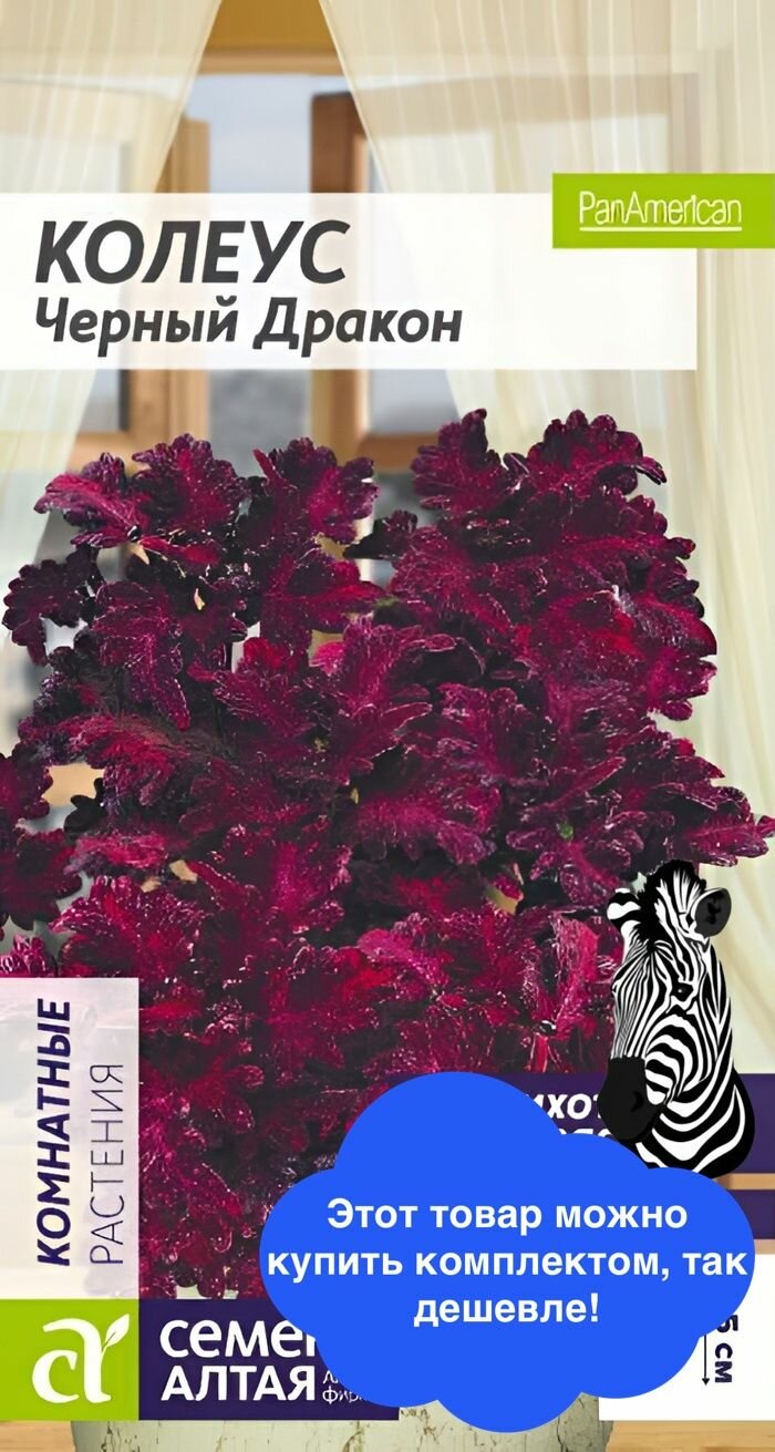Семена цветов Семена Алтая "Колеус Черный Дракон", 5 шт.
