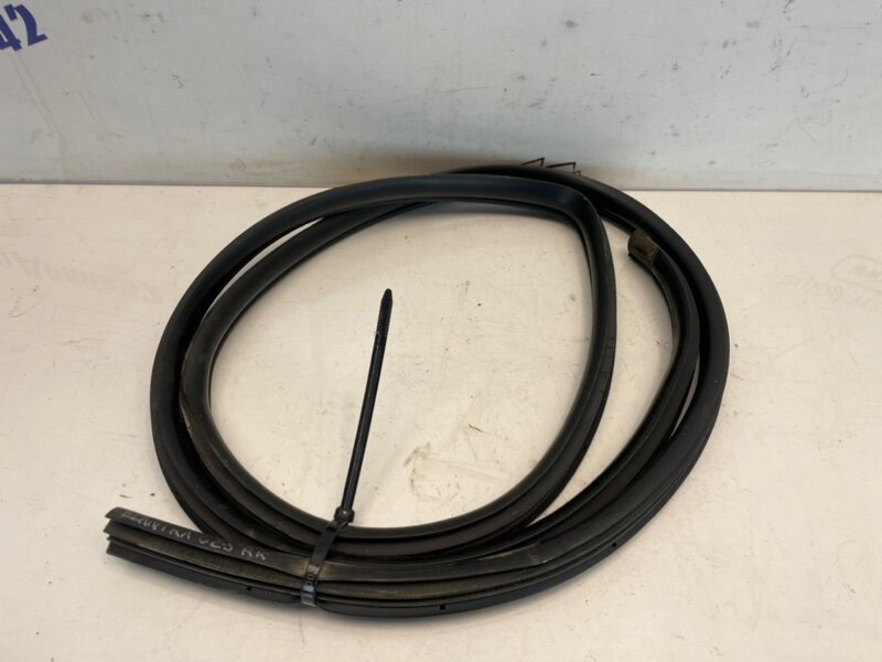 Б/У уплотнитель проема двери Hyundai Elantra 2008 HD G4FC Задн. Прав. 42367 Hyundai-KIA арт. 831202H001