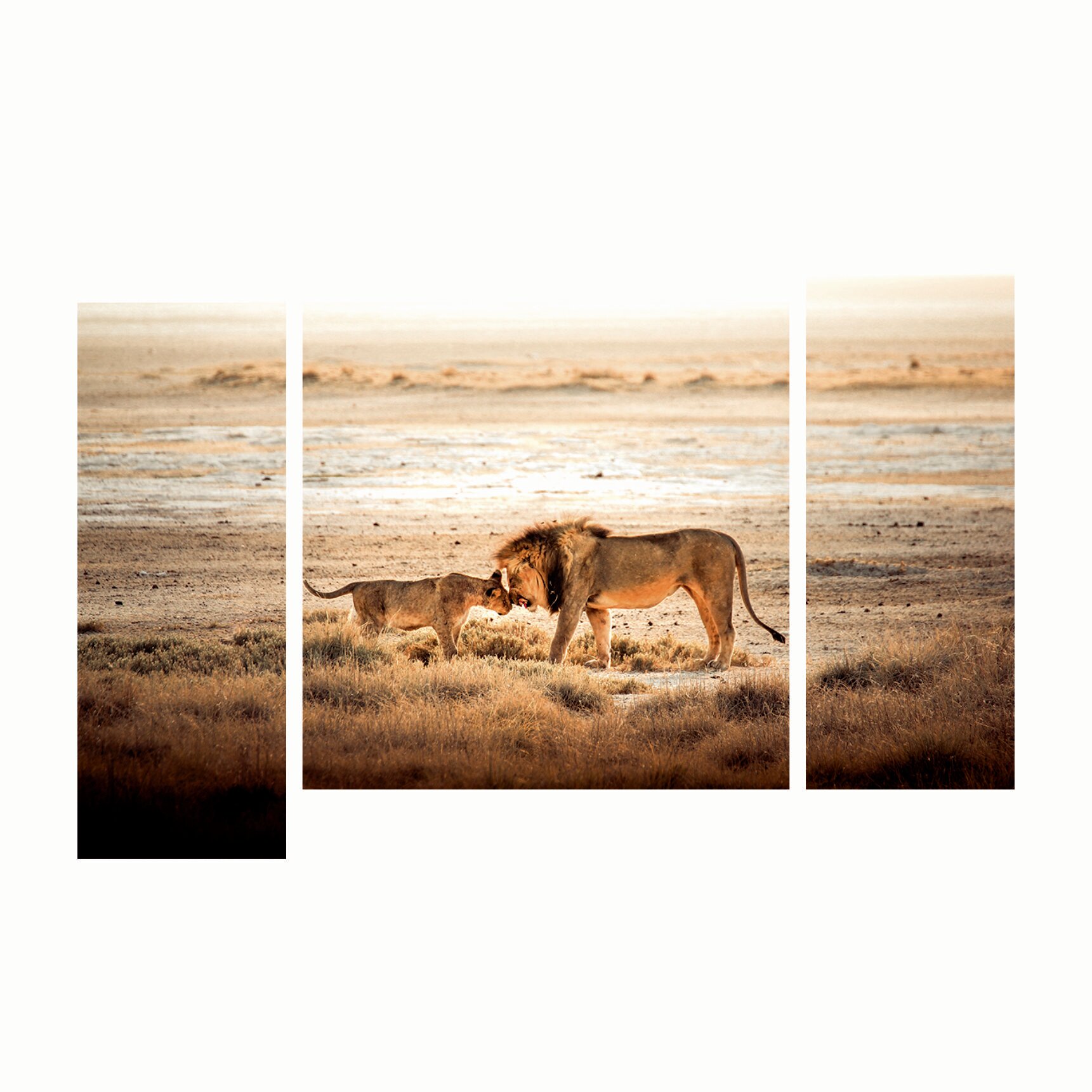 Модульная картина "Лев и львица" (Размер:73х110см (60х28,48х48,60х28))
