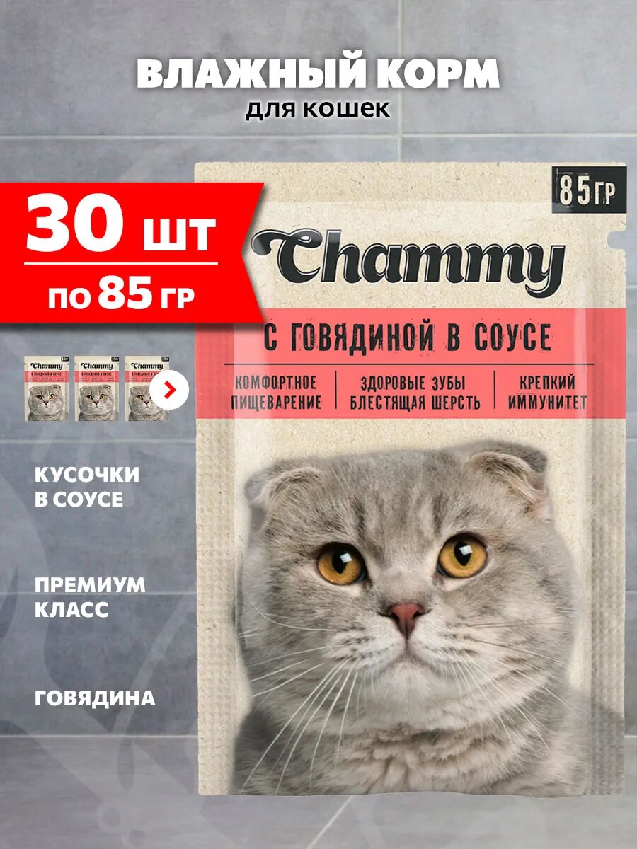 Корм влажный Chammy для взрослых кошек, говядина в соусе, 85 г 30 шт